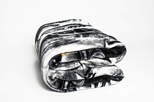 JPI Plush Throw Blanket - La Reina - Queen Bed 79"x 95" - Faux Fur Blanket for Beds, Sofa, Couch, Picnic, Camping