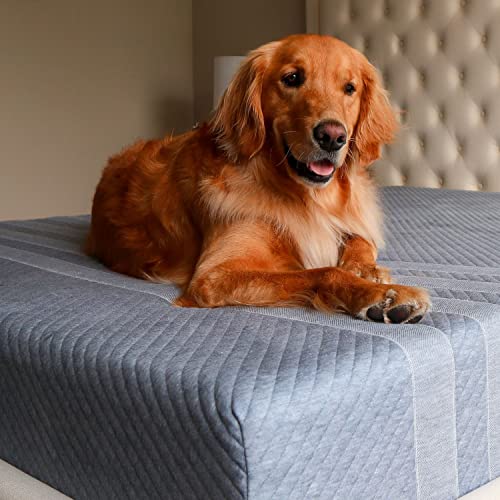 Leesa Studio 10" Mattress, Queen Size, Cooling Memory Foam / CertiPUR-US Certified / 100-Night Trial, Heather-blue