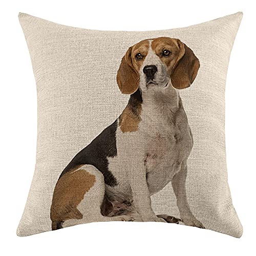 Mmordowr Decorative Throw Pillow Cover Square Pillowcase Linen Brown Dog Beagle Sitting White Away Animals Studio Wildlife Black Canine Looking Carnivore Cut Out Cushion Case for Sofa Car 18x18 Inch