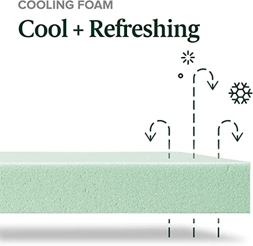 Twin Mattress, 8 inch Gel Memory Foam Mattress, Green Tea Cooling Gel Infused, Medium Firm Feel with Motion Isolating for Pressure Relief, Distributes Weight Evenly (Twin)