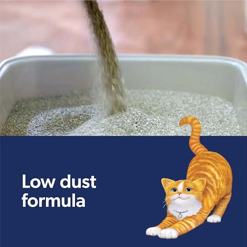 Fresh Step Outstretch Long Lasting Clumping Litter Simply Unscented, Activated Charcoal Litter Lasts 50% Longer, 19 lb. Box