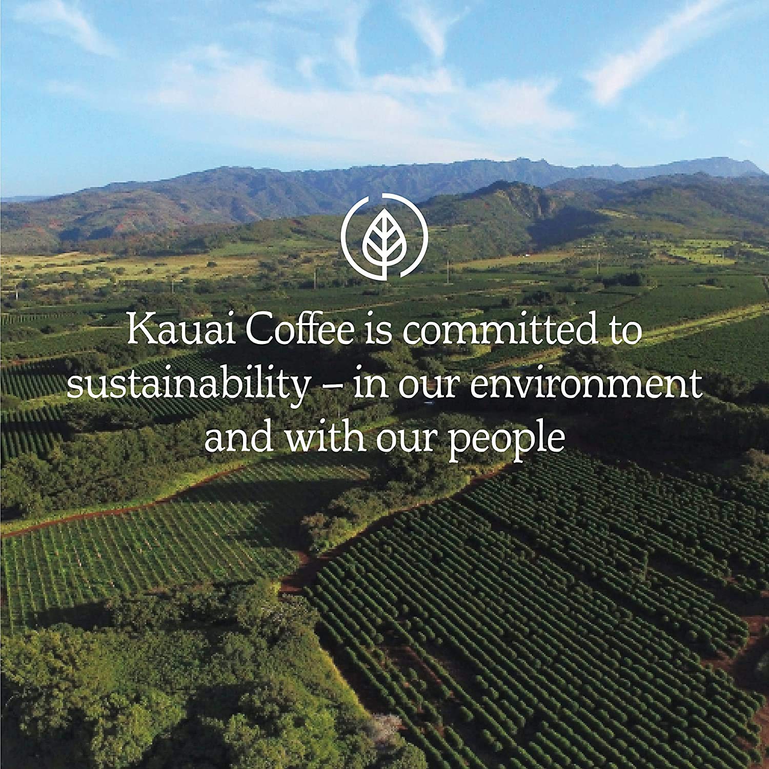 Kauai Coffee Koloa Estate Medium Roast - Coconut Caramel Crunch, 24 oz Package