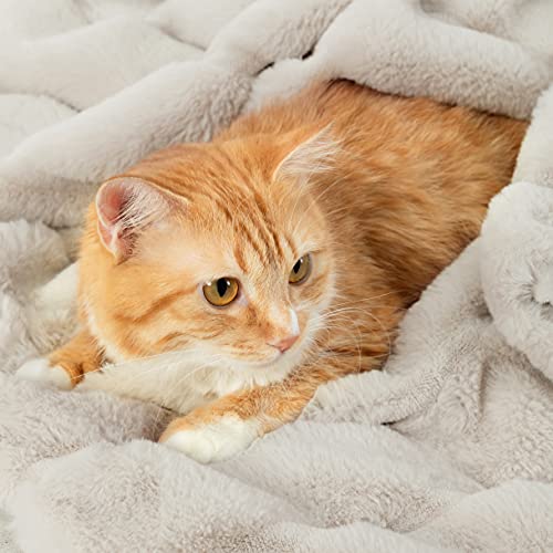 Cozy Bliss Luxury Super Soft Striped Faux Fur Throw Blanket for Couch, 50"x60" Beige, Warm Milky Plush Blanket for Sofa Bed Living Room Bedroom (Stripe-Beige)