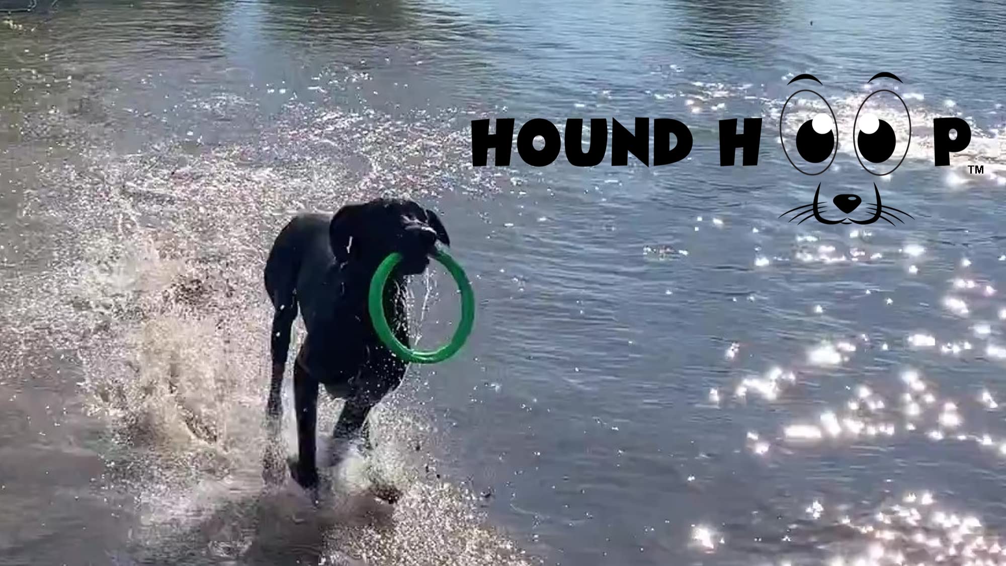 Hound Hoop - Professional Dog Fetch Toy for Medium & Large Breeds - Rolling Fetching Tire & Chase Ring for Outdoor Training & Water Retrieval Play - Helps Improve Agility, Balance, Speed - 10x1.5…