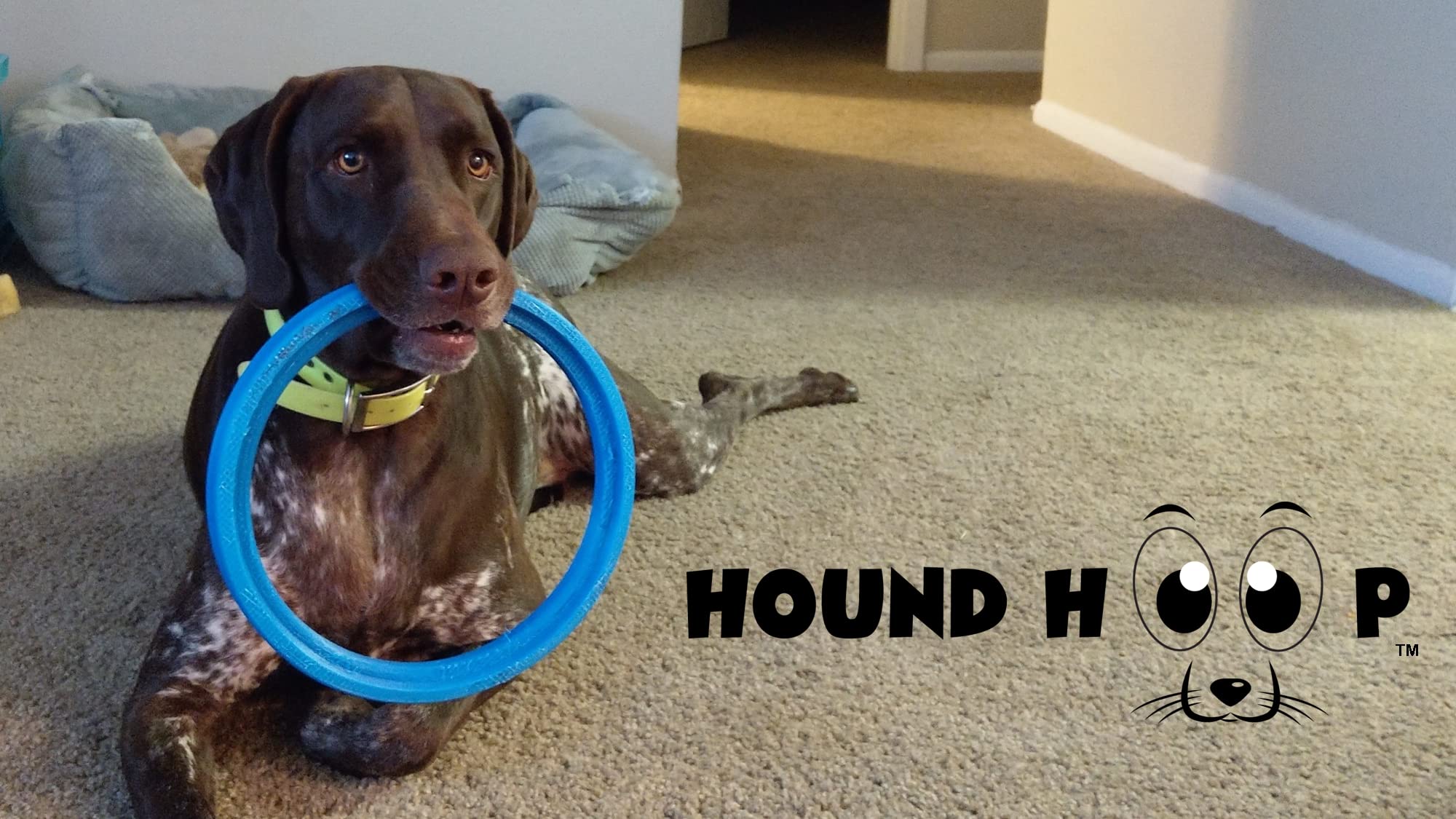 Hound Hoop - Professional Dog Fetch Toy for Medium & Large Breeds - Rolling Fetching Tire & Chase Ring for Outdoor Training & Water Retrieval Play - Helps Improve Agility, Balance, Speed - 10x1.5…