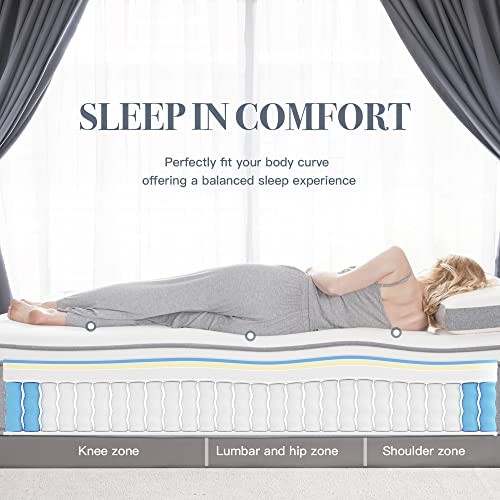 DIGLANT Twin Hybrid Mattress, 12 Inch Euro Top Gel Memory Foam with Pocket Spring Mattress in a Box and Balance Support, Medium Feel CertiPUR-US Certified Mattress