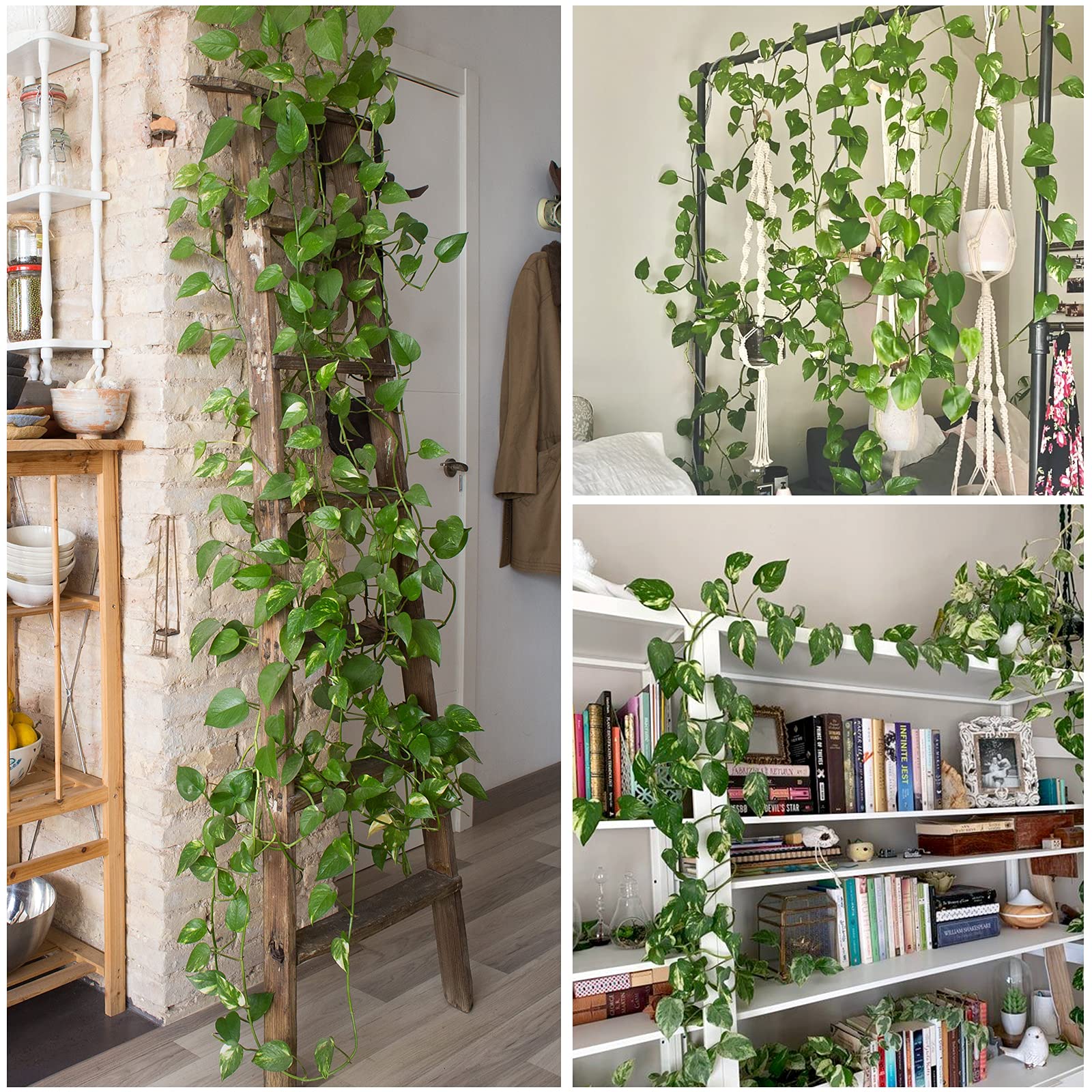 WhOnline 10pcs Fake Vines 69ft Artificial Greenery Garland Fake Hanging Plants Greenery Wall Backdrop for Home Bedroom Wedding Decoration Jungle Theme Party Supplies