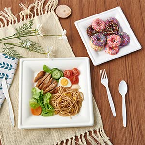 ECOLipak 120 Pack Compostable Paper Plates, 10 inch and 8 inch Heavy Duty Disposable Square Plates, Eco friendly Sugarcane Biodegradable Plates for Party Dinner Birthday