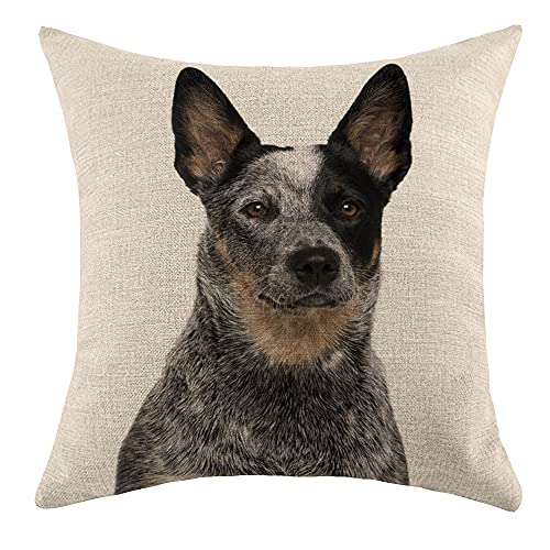 Mmordowr Decorative Throw Pillow Cover Square Pillowcase Linen Brown Away Closeup Australian Cattle Dog Front White Animals Wildlife Black Canine Carnivore Cut Cushion Case for Sofa Car 16x16 Inch