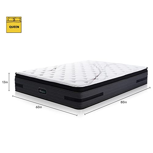 BAENIGHT Hybrid Queen Mattress 13‘’pocket Spring Mattress for Relieving Body Pressure with Individual Pocket Spring and Gel Memory Foam ,Euro Top Medium Firm Affordable Mattress(Queen (U.S. Standard))