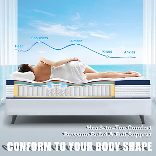 FLEXPEDIC Deep Sleep Queen Mattress 10 Inch in A Box, Cloud Euro Top Soft Hybrid Mattress Made in USA, Memory Foam Pocket Innerspring Mattresses, CertiPUR-US Certified