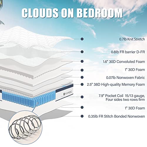 FLEXPEDIC Deep Sleep Queen Mattress 10 Inch in A Box, Cloud Euro Top Soft Hybrid Mattress Made in USA, Memory Foam Pocket Innerspring Mattresses, CertiPUR-US Certified