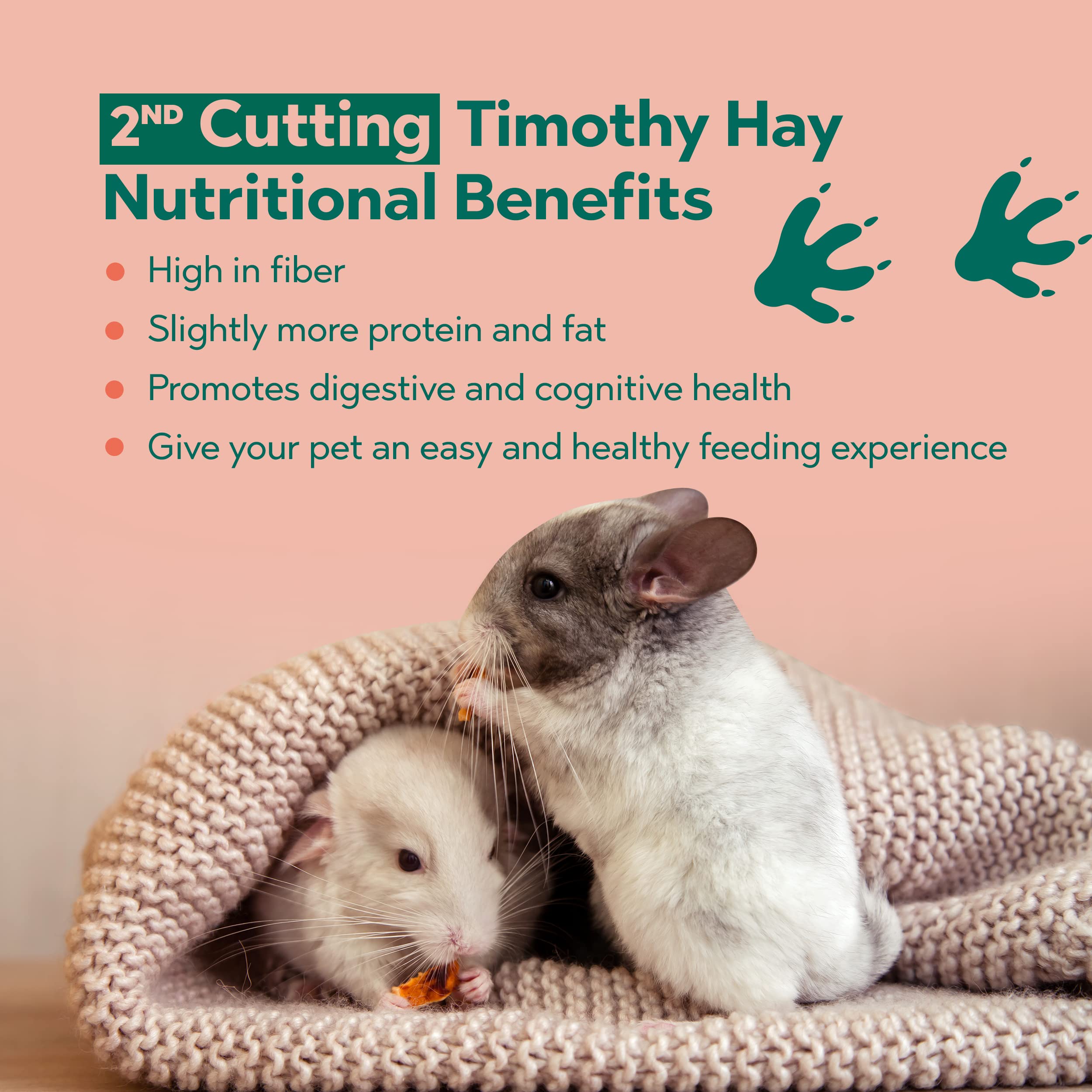 Andy by Anderson Hay Timothy Hay, 15 lbs, Premium Rabbit Food for Balanced Nutrition