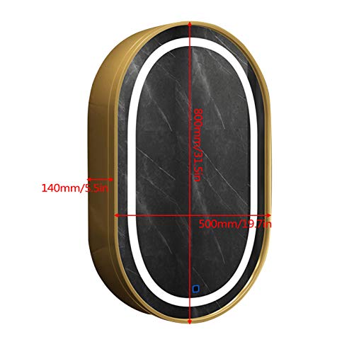 ZTGL Oval LED Lighted Mirror Cabinet, Wall-Mounted Bathroom Medicine Cabinet, Touch Button, Slow Close Hinge, 19.7x31.5 in,Gold,Lights Defogging