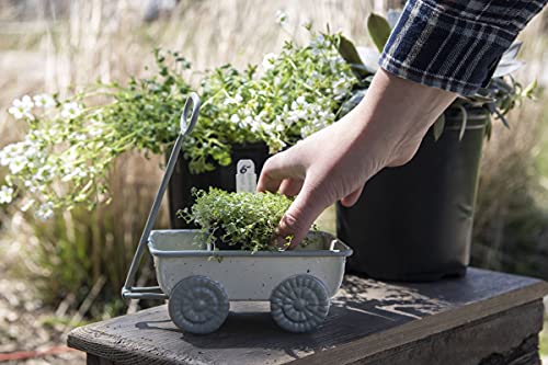 Foreside Home & Garden White Rustic Antique Gray Metal Wagon Soap Dish