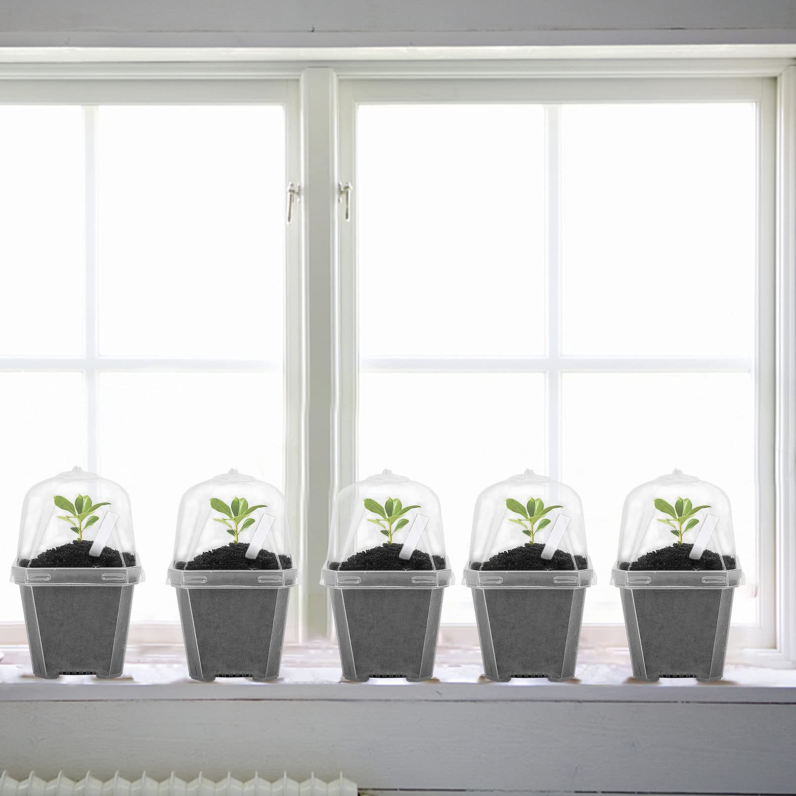 EBaokuup 30PCS Clear Plant Nursery Pots with Humidity Dome - 3" Durable Plastic Gardening Pot with Labels, Small Plant Container for Seedlings/Vegetables/Succulents/Cuttings