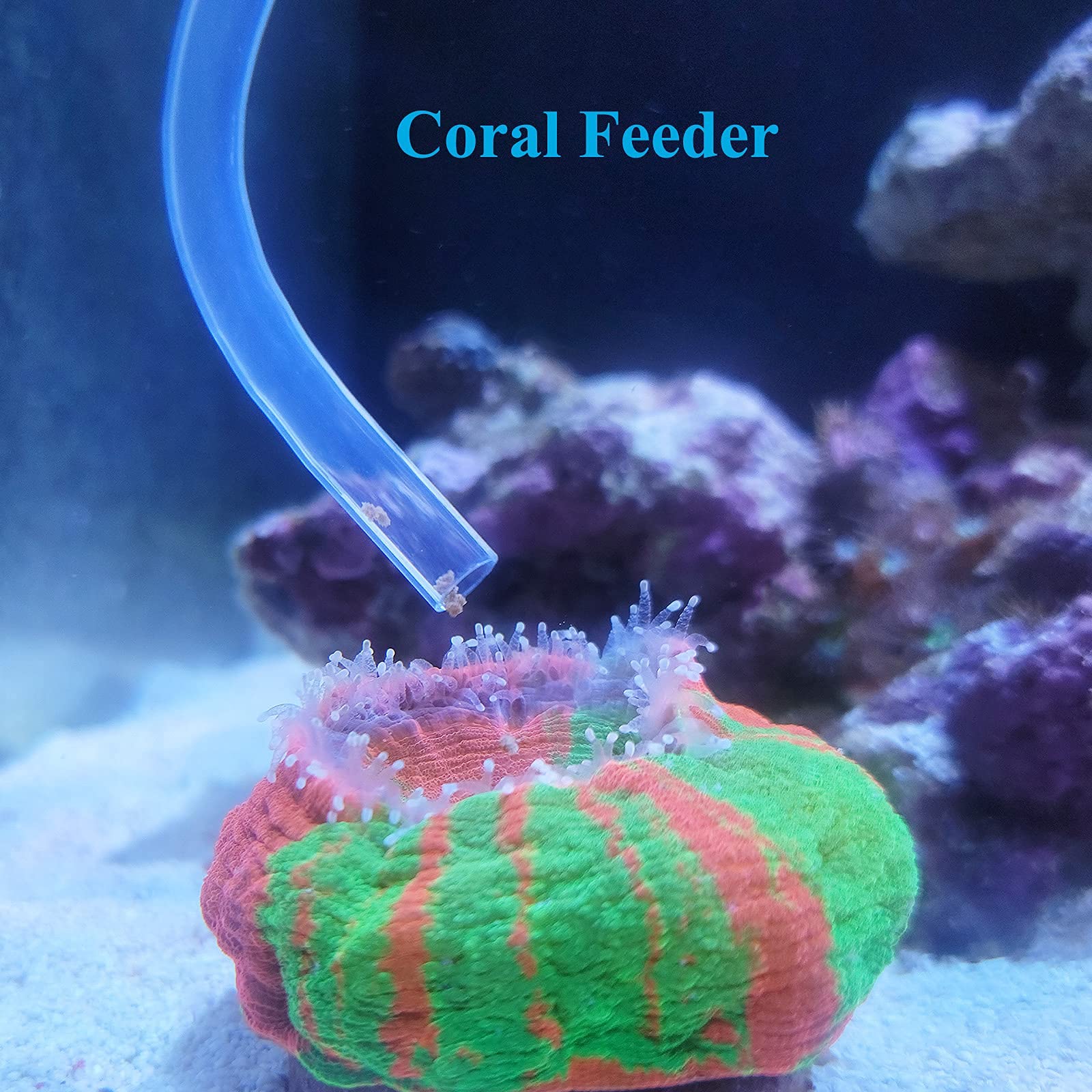 AREPK Aquarium Coral Feeder Fish Feeder Waste Clean Tool Manual Cleaner Water Changer Fish Tank Cleaning Tool Siphon Dropper Waste Remover Aquatic Bottom Feeder Pipette