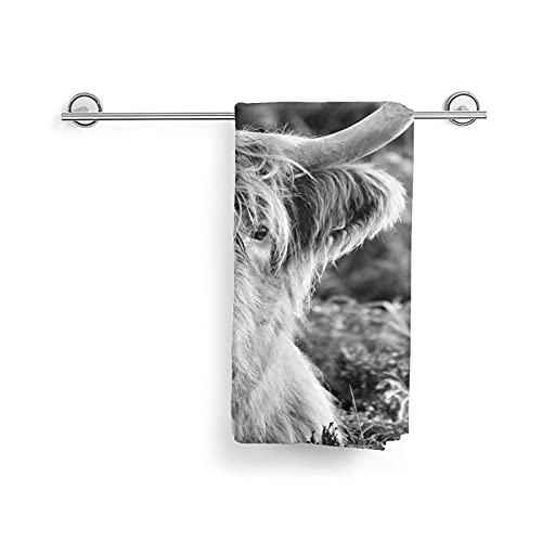 Hand Towel Highland Cows Moorland Face Washcloths Fingertip Bath Towels 27.5 X 15.7 Inch Microfiber Quick Dry Soft Absorbent Luxury Kitchen Dish Cloth for Bathroom Beach Gym Hotel Salon Spa Sport