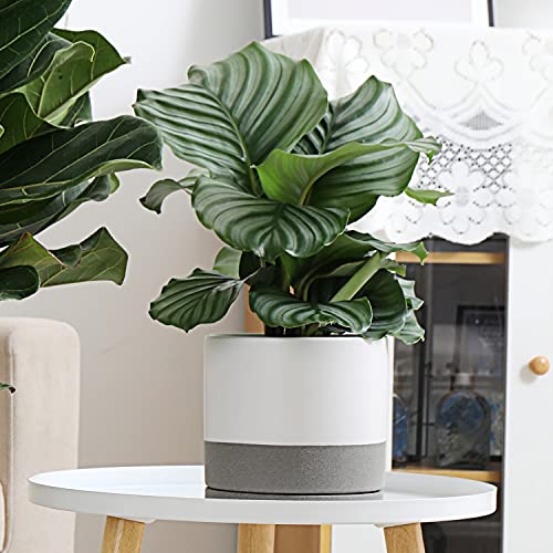 UMIAMOY 6inch Modern Cylinder Matte Ceramic Planter Pot with Drainage Hole and Saucer, Planter Pot for Indoor Outdoor Plants Flowers, White/Gray