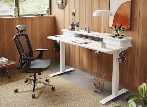 FEZIBO 55 x 24 Inch Height Adjustable Electric Standing Desk with Double Drawer, Stand Up Desk with Storage Shelf, Sit Stand Desk, White