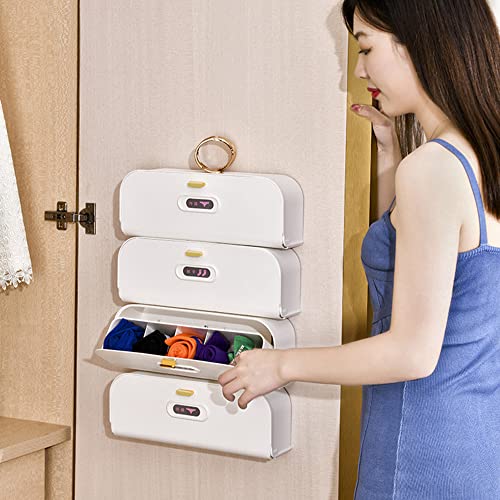 Zitrenot Wall Mounted Sock Organizer Cabinet Clothes Storage Box for Home Bedroom Living Room