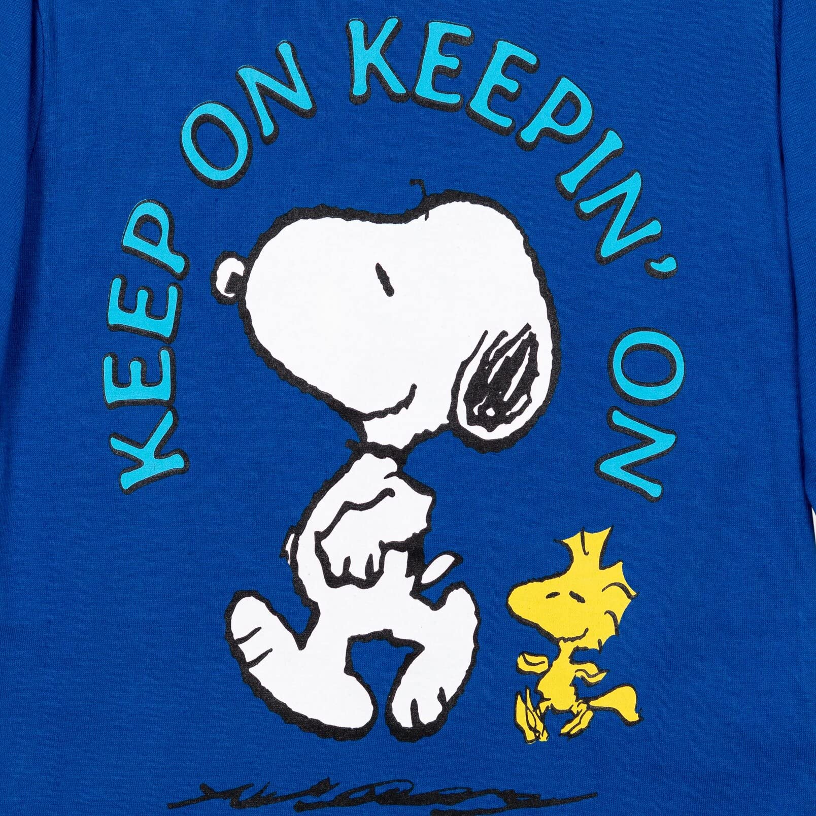 Peanuts Snoopy Charlie Brown and Friends Little Boys 2 Pack T-Shirt Blue/Grey 7-8