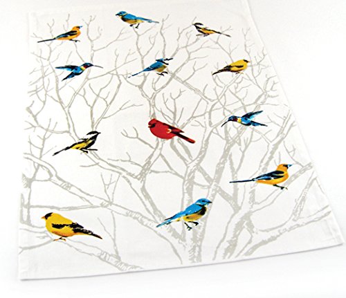 INDIA OVERSEAS Bird Watching Hand Towels: Colorful Artistic Wildlife Design, Set of 2