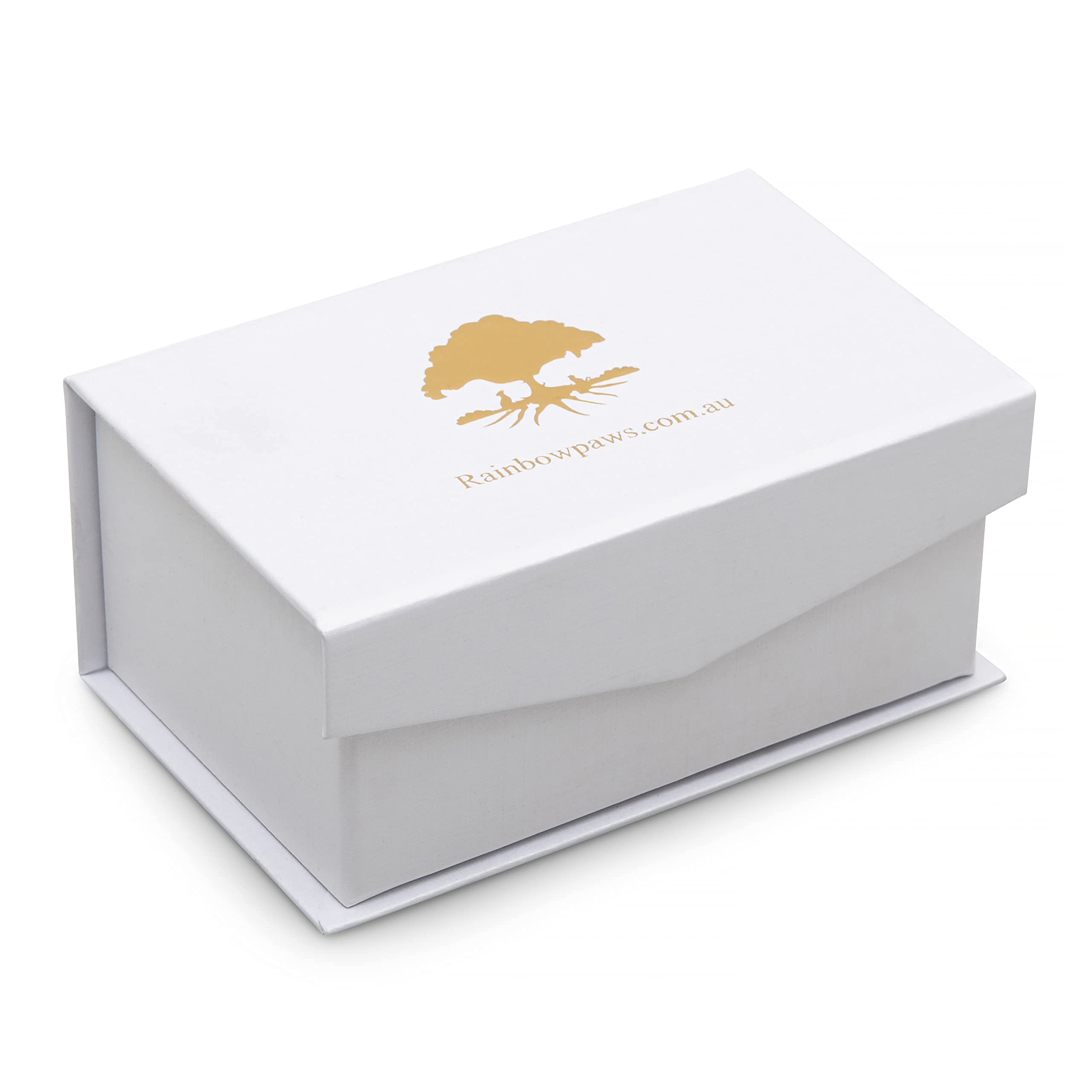 FINIC Pet Memorial Keepsake Urn, Thoughtful Remembrance Gift for Grieving Pet Owners