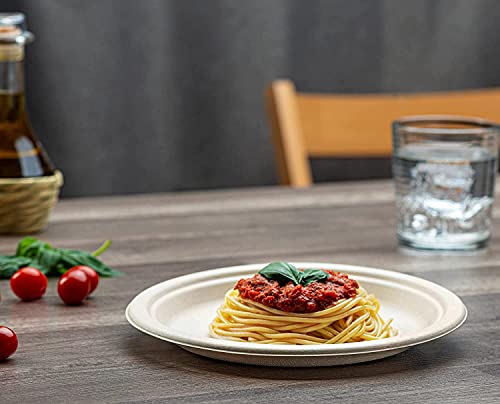 Comfy Package [Case of 500 9 Inch Paper Plates, 100% Compostable Plates Heavy-Duty - Kraft Biodegradable Plates, Disposable Sugarcane Paper Plates - Brown Unbleached