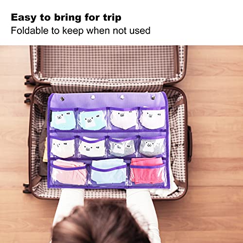 ANZORG Dual Sided Hanging Organizer for Jewelry Makeup Storage Closet Organizers for Bows Socks Underwear with 42 Clear Pockets (PURPLE)