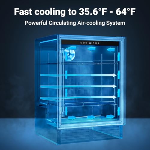BODEGA 24 Inch Undercounter Outdoor Beverage Cooler Fridge with Stainless Steel Seamless Door,Hold 164 Cans w/Powerful Cooling Compressor for Patio Kitchen,Outdoor