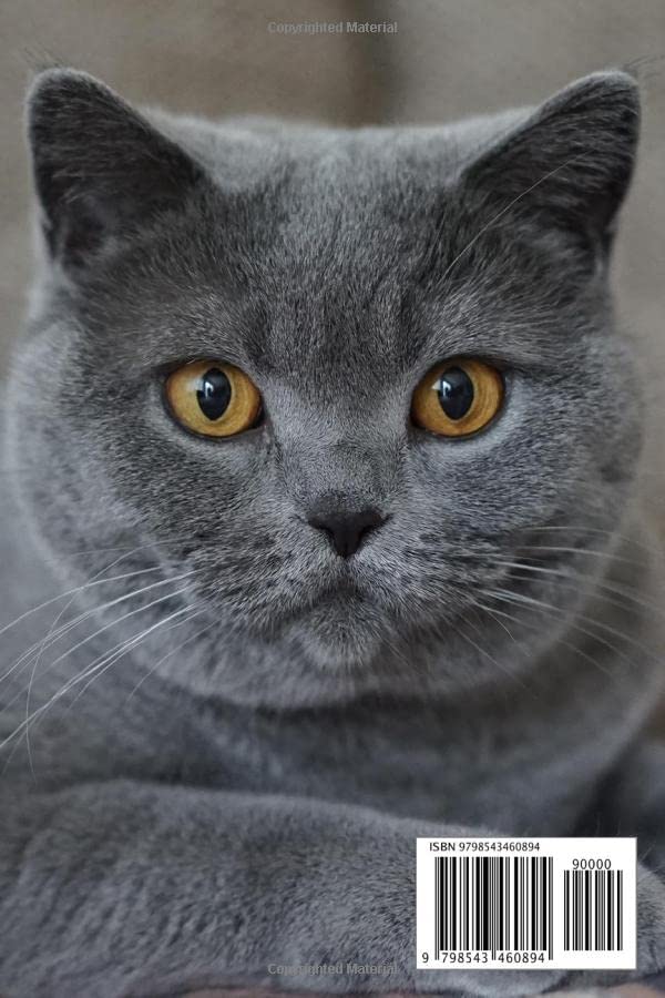Address Book: Cat theme. Personal address book with space for 525 contacts .Record names, addresses, home, mobile,work, fax e-mail addresses.a5 size