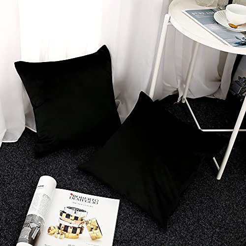 Best Season Pack of 2 Black Luxury Soft Velvet Square Decorative Throw Pillow Covers Decorative Pillowcase for Sofa Couch Bed 18×18 inches