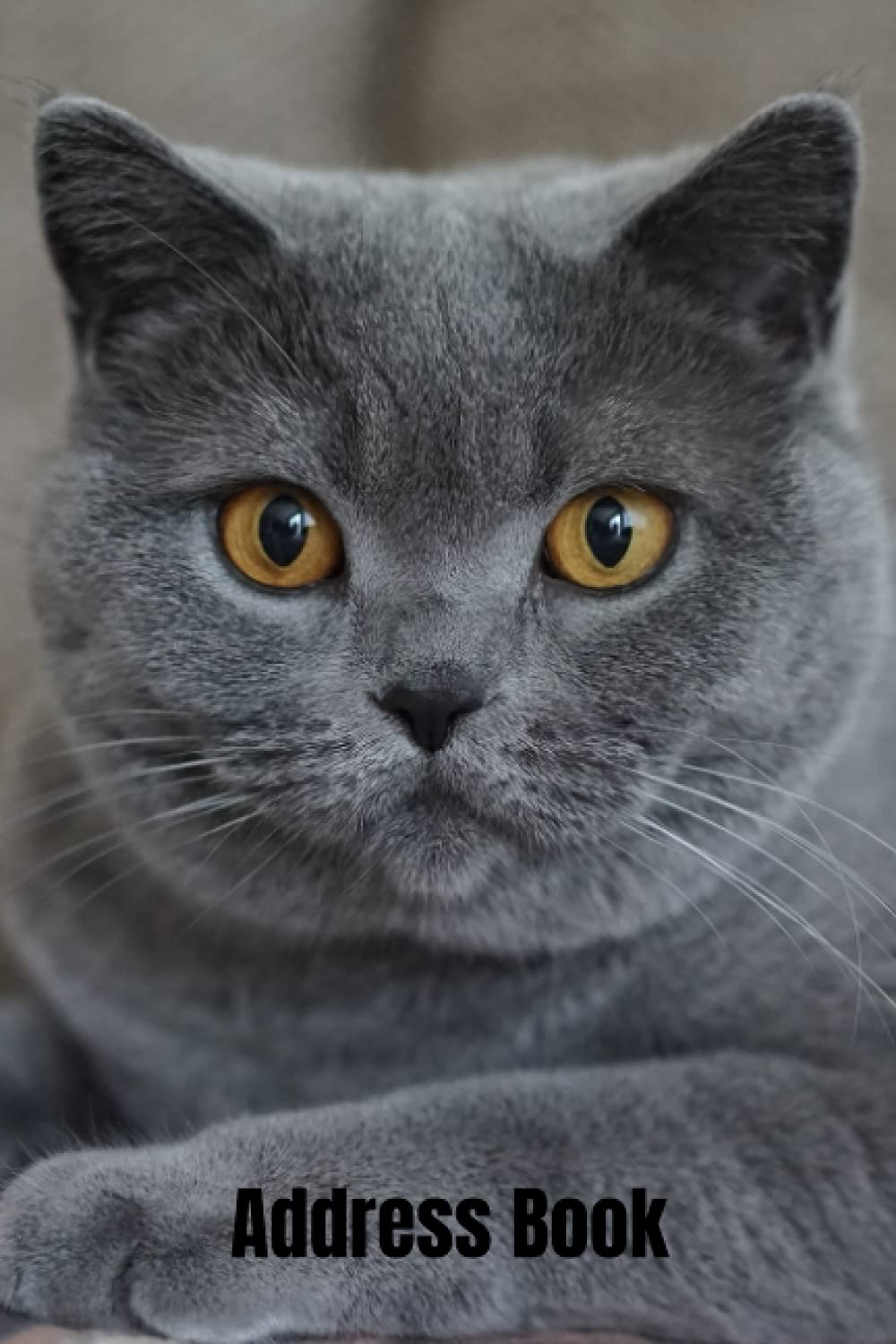 Address Book: Cat theme. Personal address book with space for 525 contacts .Record names, addresses, home, mobile,work, fax e-mail addresses.a5 size