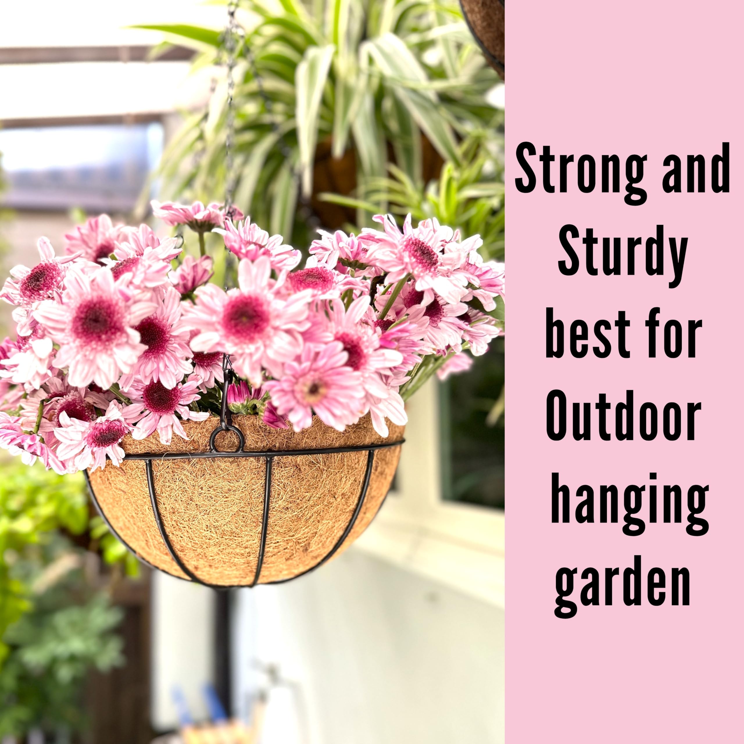 LaLaGreen Hanging Baskets for Plants (3 Pack, 10 Inch) Hanging Planter Outdoor with Coco Liner, Metal Wire Flower Basket Pots Holder Hanger Hook Deck Patio Porch Garden Balcony Outside Decoration