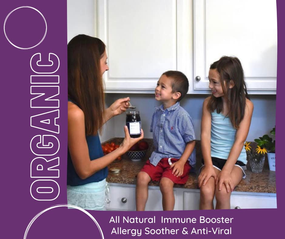 Elderberry Boost - Organic Elderberry Syrup with Raw Honey - Made for Kids & Adults (16 oz)