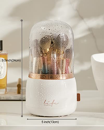 Lebenrich Rotating Makeup Brush Holder Organizer with Lid, Spinning Brush Holder Makeup Organizer with Clear Cover, Acrylic Cosmetics Make Up Brushes Storage Cup Container for Vanity (Light Green)