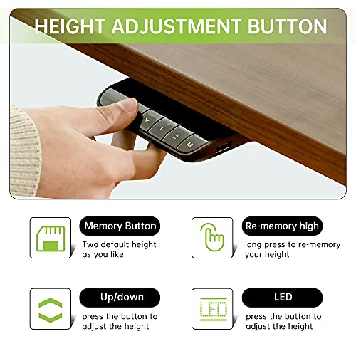 ALFA FURNISHING Height Adjustable Standing Desk, 60” x 30” inches Electric Standing Desk with Whole Piece Desk Board, 2 Pre-Set Memory Button Sit Stand Desk for Home Office Workstation