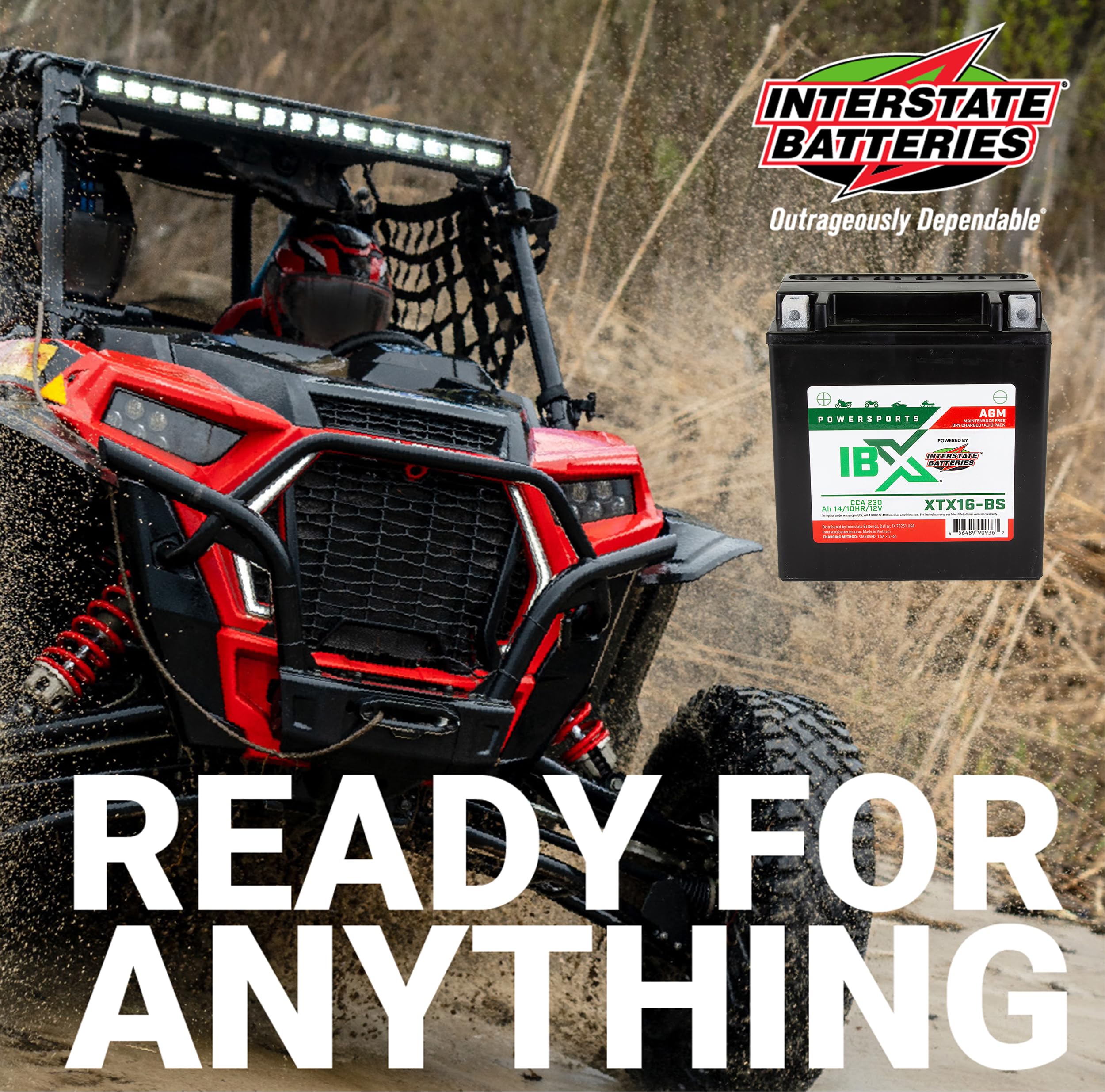 Interstate Batteries YTX16-BS 12V 14Ah Powersports Battery 230CCA AGM Rechargeable Replacement for ATVs, Motorcycles, Scooters (XTX16-BS)