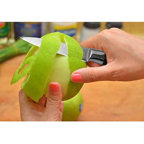 Kitory Paring Knife Fruit Knife Small Kitchen Knife 3.5 Inch 7Cr17MoV German High Carbon Stainless Steel for Fruit and Vegetable Carving Dicing Cutting Chopping Fruits Vegetables 2023 Gift