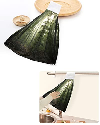 Kitchen Towels with Hanging Loop 2 Pack, Green Forest Sunrise Soft Absorbent Hand Towels for Bathroom Bar Home Decor Nature Tree Dish Towels Reusable Washable Cleaning Cloth