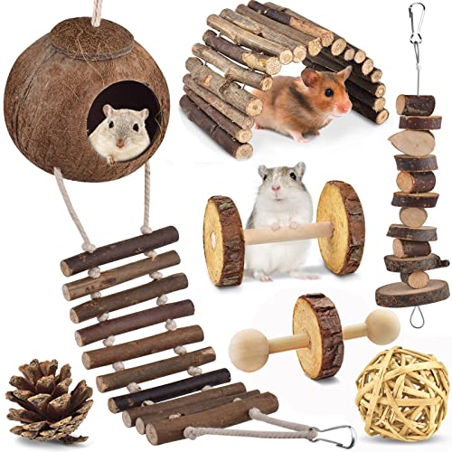 KATUMO Coconut Hut Hamster House Bed Natural Chew Toys for Mice Gerbils Small Animal Cage Habitat Decor