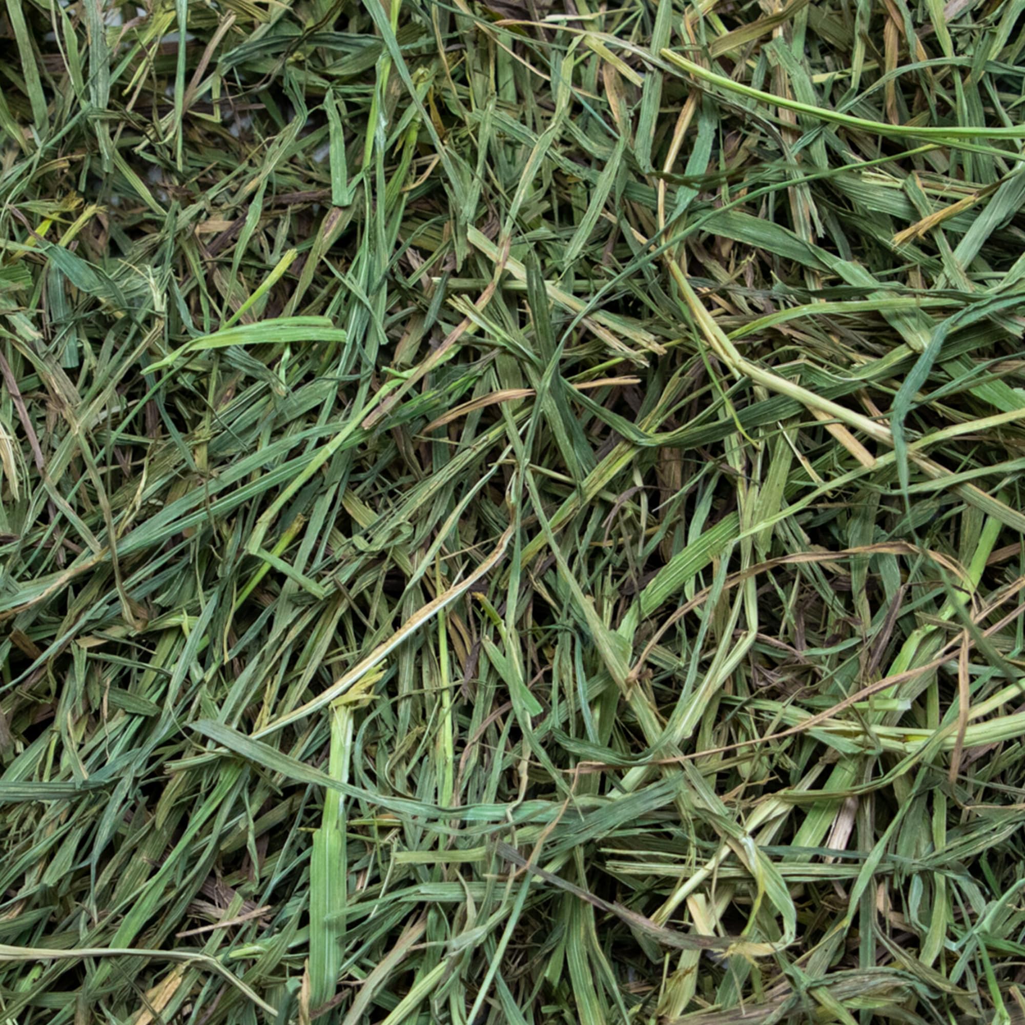 Rabbit Hole Hay - Ultra Premium Soft Timothy Hay for Small Pets - 40 lb Box - Fresh & Nutritious