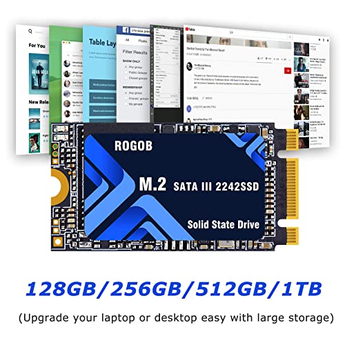 ROGOB 256GB M.2 SATA SSD 2242 NGFF B&M Key Internal Solid State Drive 6Gb/s for Desktop Laptop PC