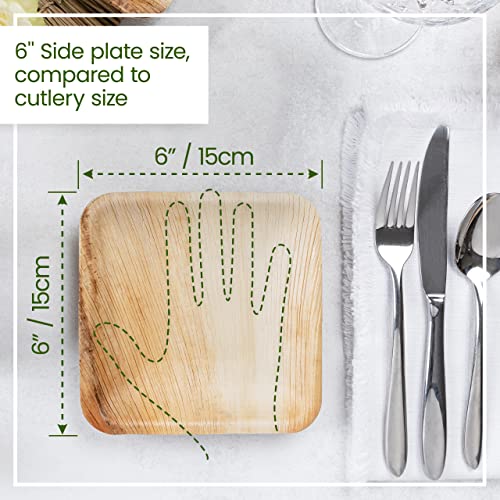 Palm Leaf Plates - Compostable and Grease Resistant 6 Inch Square Plates - Eco Friendly Plate is 100% Natural, Sturdy & Microwave Safe - Disposable & Biodegradable Wood Alternative to Bamboo Plates