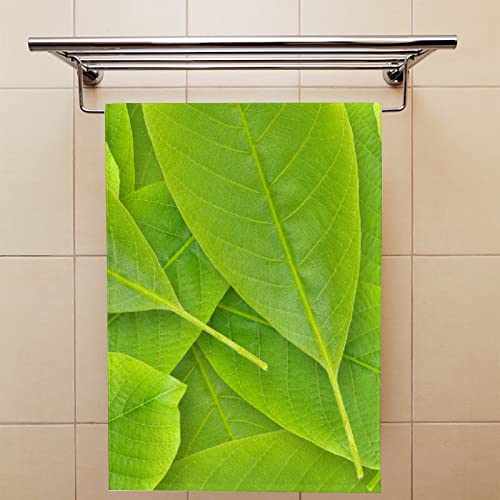 Green Leaf Dish Towel 2PC Hand Towels for Bathroom 15" x 30" Absorbent Soft for Hand, Face, Kitchen, Hotel, Spa, Gym, Swim