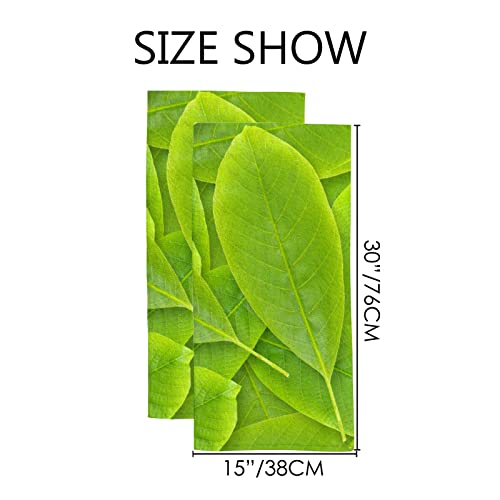 Green Leaf Dish Towel 2PC Hand Towels for Bathroom 15" x 30" Absorbent Soft for Hand, Face, Kitchen, Hotel, Spa, Gym, Swim