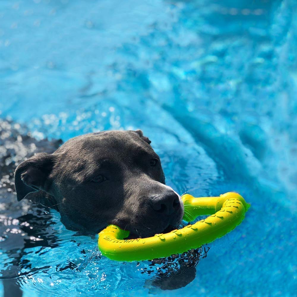 LaRoo Dog Toys for Aggressive Chewers,Floatable Dog Flying Disc,3 Sizes Dog Tug Toy,Interactive Dog Toys