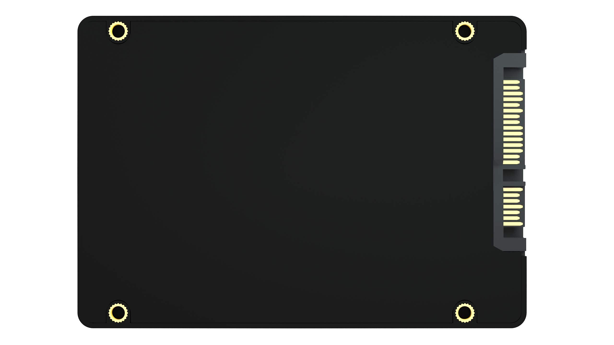 Gamerking SSD 60GB SATAIII 2.5 inch 6Gb/s Internal Solid State Drive for PC Laptop Desktop Hard Drive SSD（60GB 2.5-SATAIII）