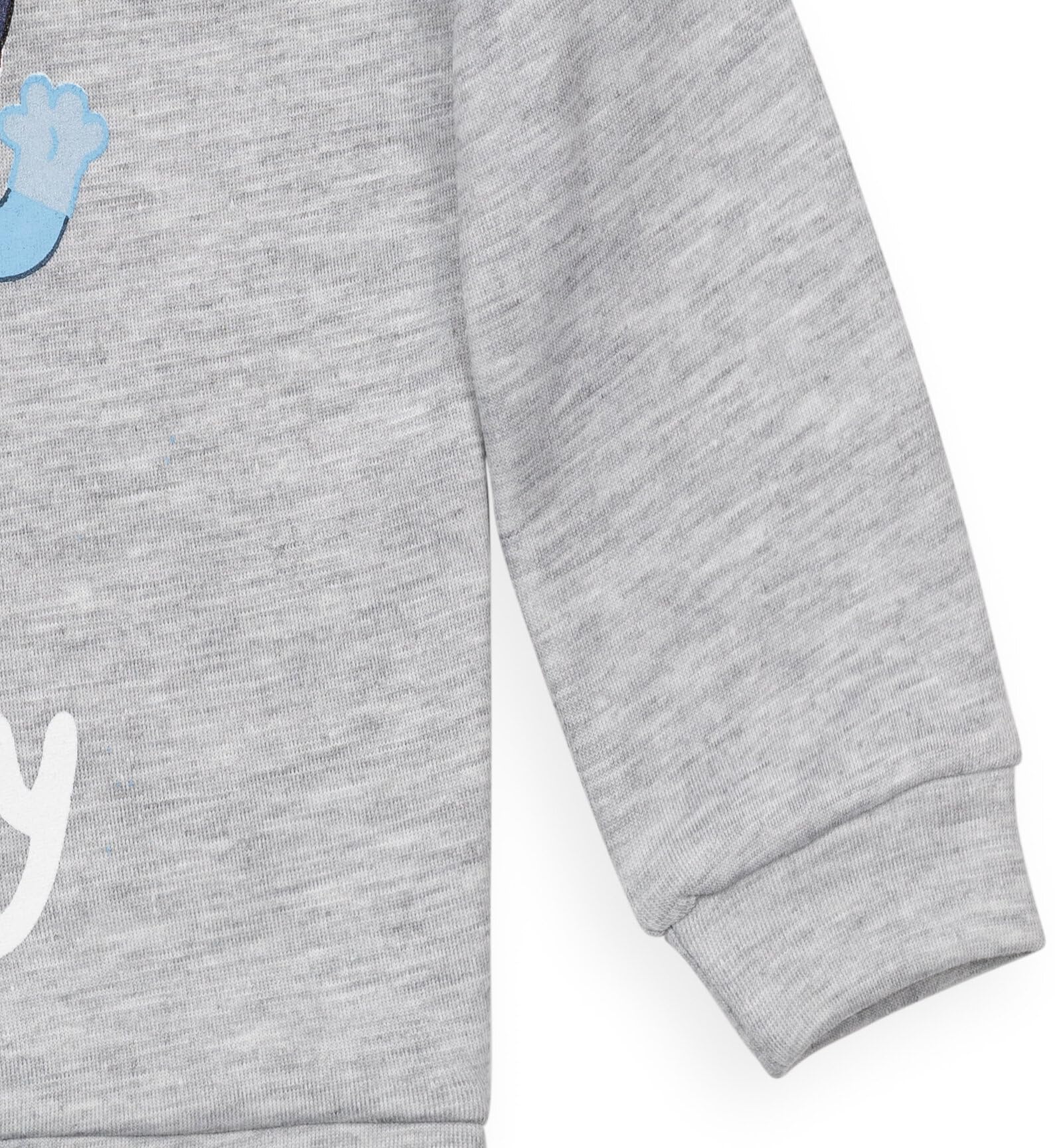 Bluey Little Boys Fleece Hoodie and Pants Outfit Set Grey/Blue 7-8